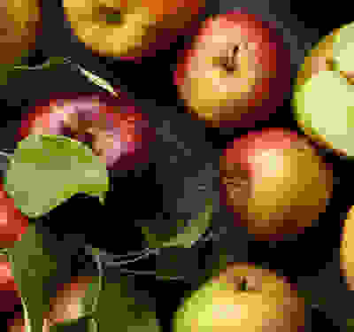 Fresh Apples | Waitrose & Partners
