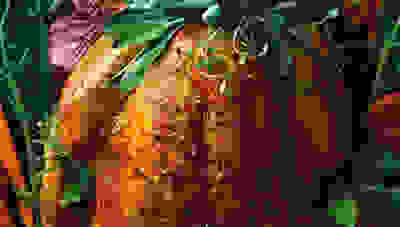 Christmas Food and Drink Delivered | Waitrose & Partners