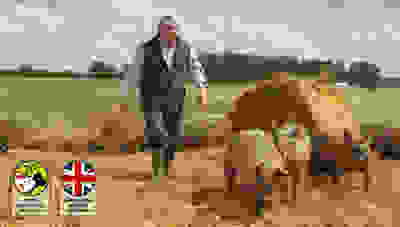 Food To Feel Good About | Waitrose & Partners