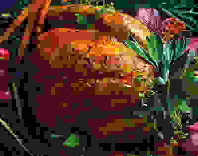 Christmas Inspiration 2022 | Waitrose & Partners