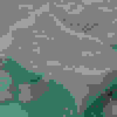 Waitrose & Partners | Food | Drink | Recipes