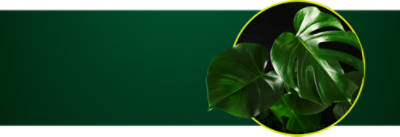 My Waitrose Membership | Waitrose & Partners