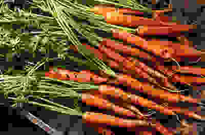 Organic Food Shop | Waitrose & Partners