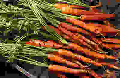 Organic Food Shop | Waitrose & Partners