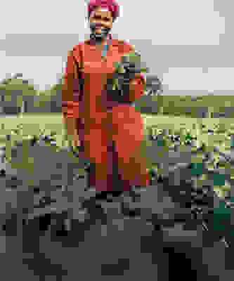 Waitrose & Partners | Food | Drink | Recipes