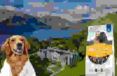 Waitrose Competitions | Waitrose & Partners