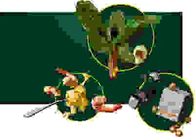 My Waitrose Membership | Waitrose & Partners