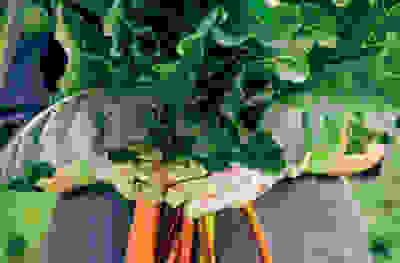 About Us | Waitrose & Partners