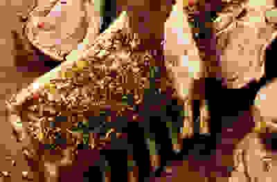 Organic Food Shop | Waitrose & Partners