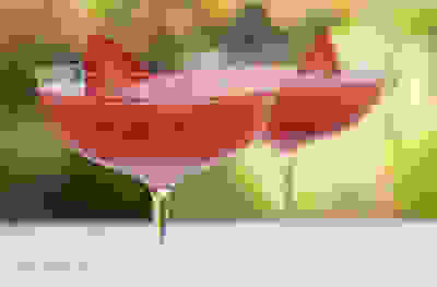 Your guide to rosé wine | Waitrose & Partners